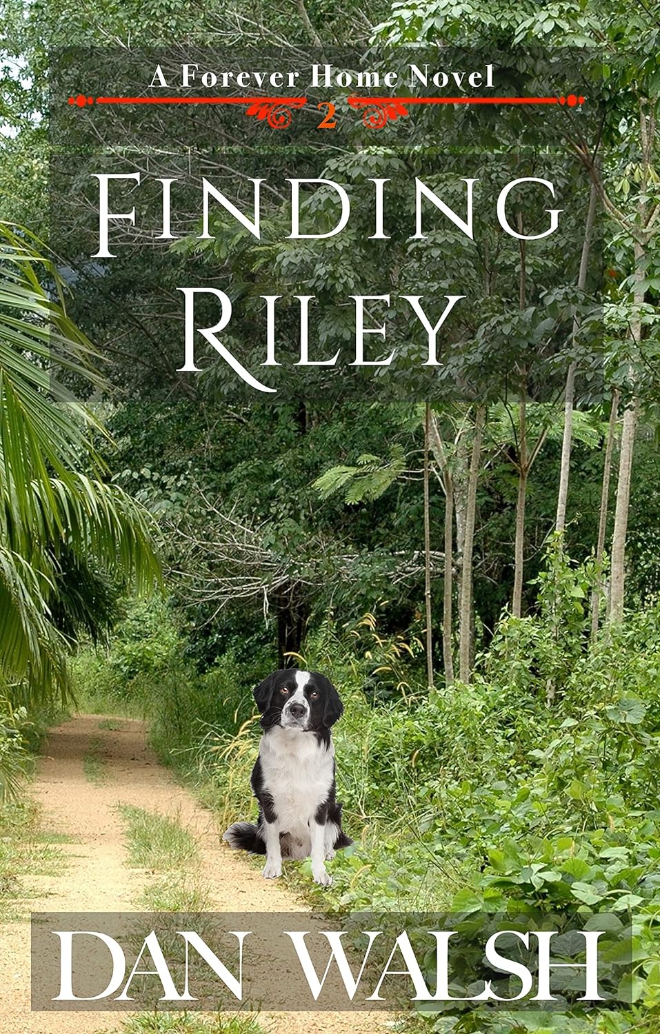 Finding Riley by Dan Walsh – The Well Read Fish